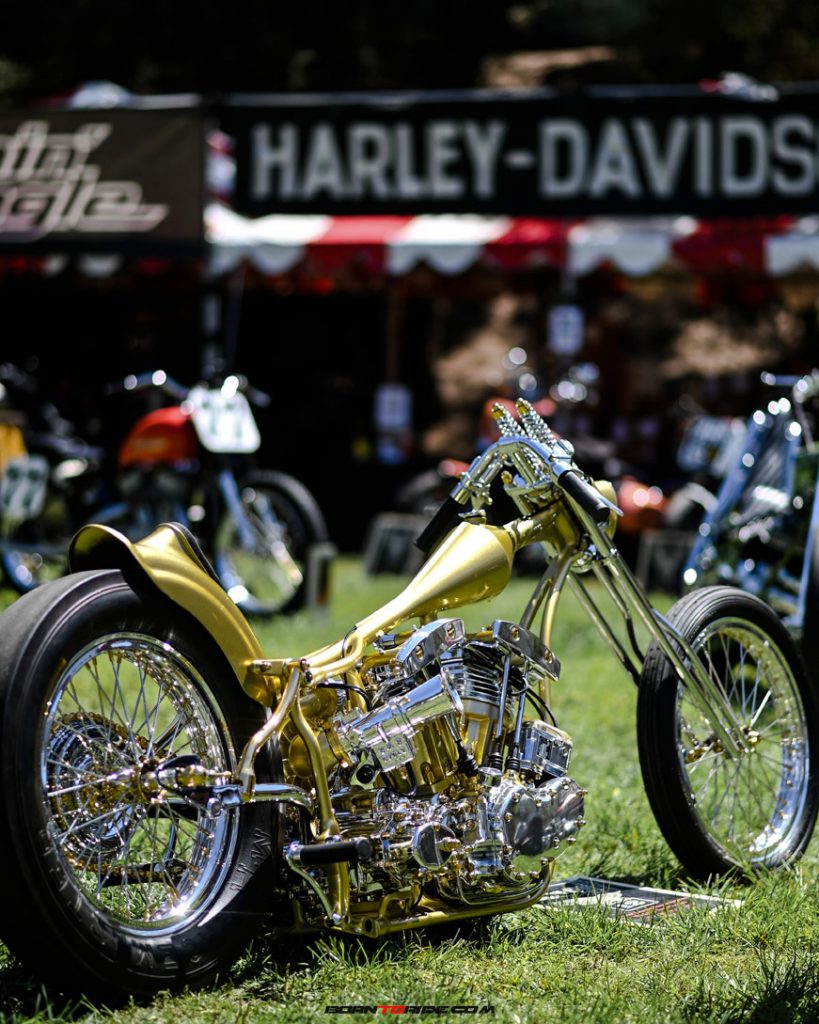 Born Free 12 Photo Gallery | Born To Ride Motorcycle Magazine ...
